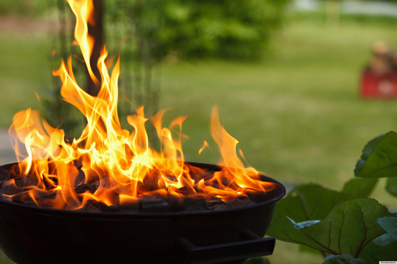 Tips for Safe Summer Barbecues - Bar-B-Clean